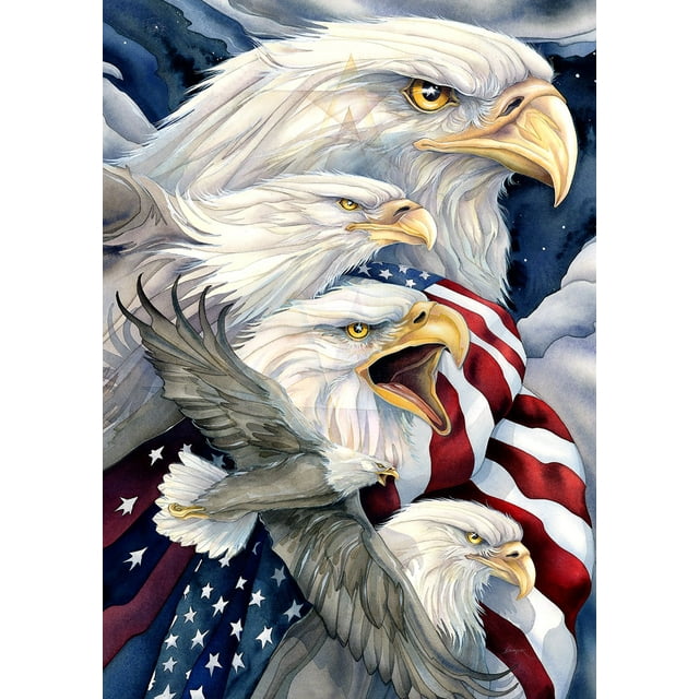 Toland Home Garden Fly In Unity Eagle Patriotic Flag Double Sided 28x40 ...