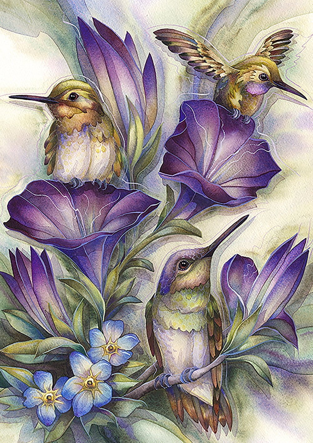 Toland Home Garden Humming Trio Bird Hummingbird Flag Double Sided ...