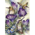 Toland Home Garden Humming Trio Bird Hummingbird Flag Double Sided ...