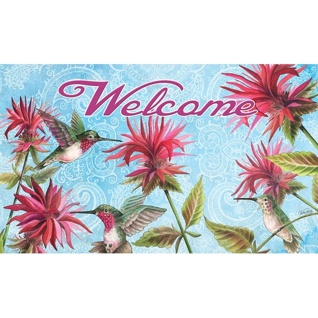 Toland Home Garden Hummingbirds in Garden Welcome Spring Door Mat 18x30 ...