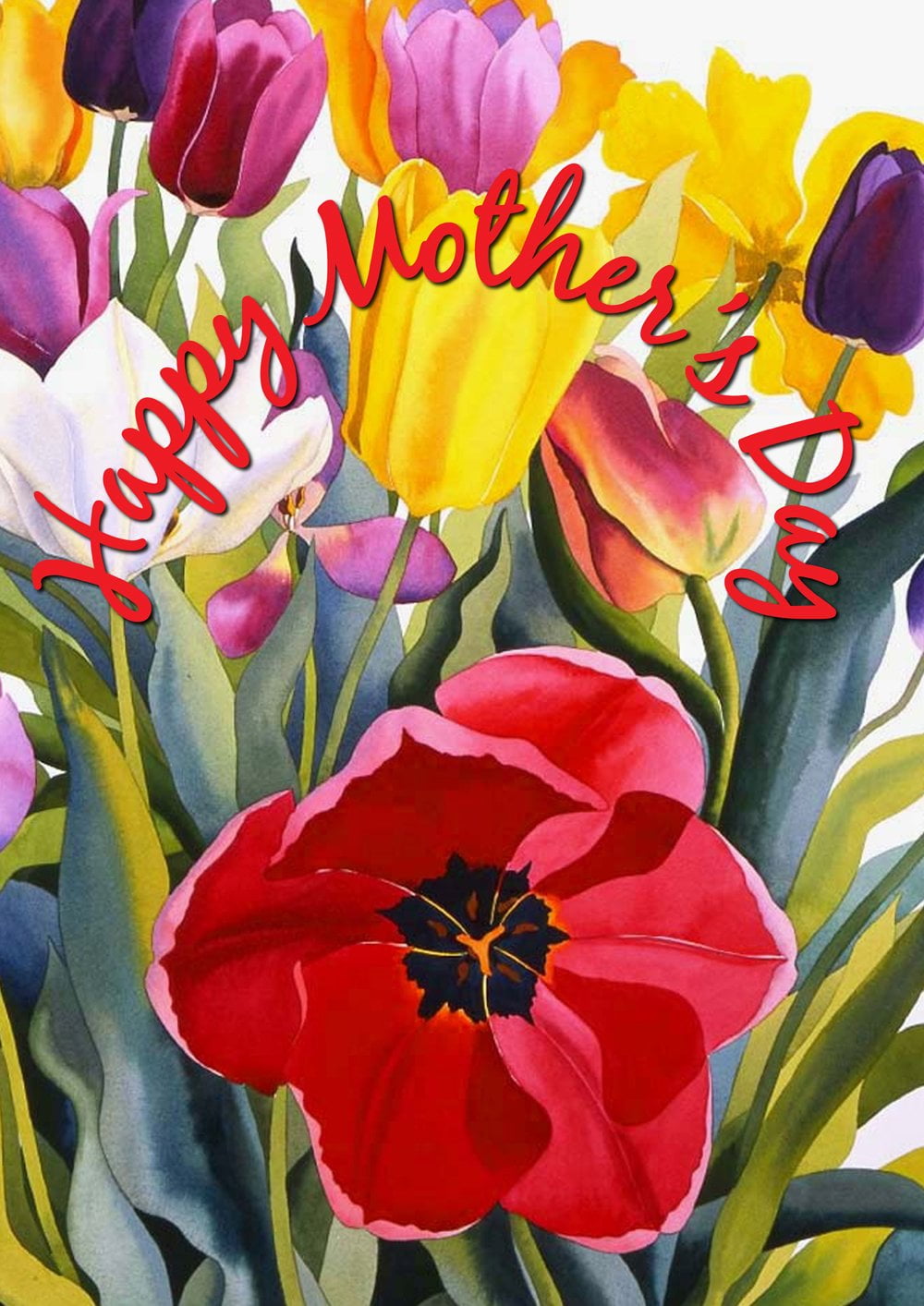Toland Home Garden Mothers Day Tulips Flower Mothers Day Flag Double ...