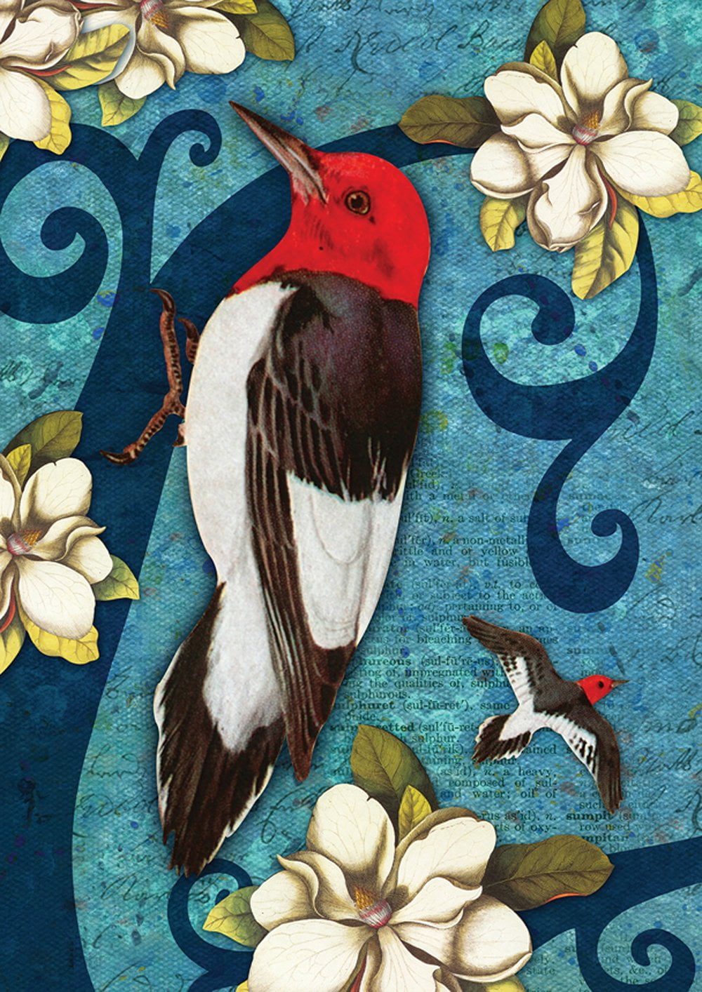 Toland Home Garden Red Headed Wood Pecker Birds Bird Flag Double Sided ...