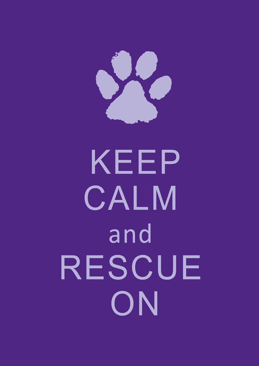 Toland Home Garden Rescue On Cat Dog Flag Double Sided 12x18 Inch ...