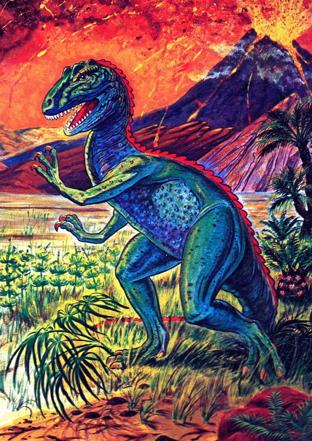 Toland Home Garden Run Dino Run Dinosaurs Dinosaur Flag Double Sided ...