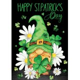 Toland Home Garden Saint Patricks Day Gnome Spring St Pats Flag Double ...