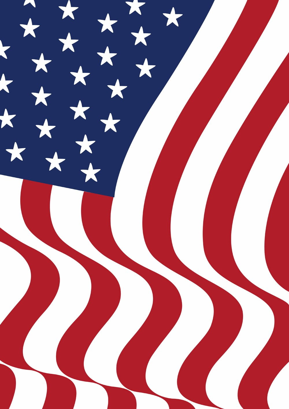 Toland Home Garden Salute with Pride American Patriotic Flag Double ...