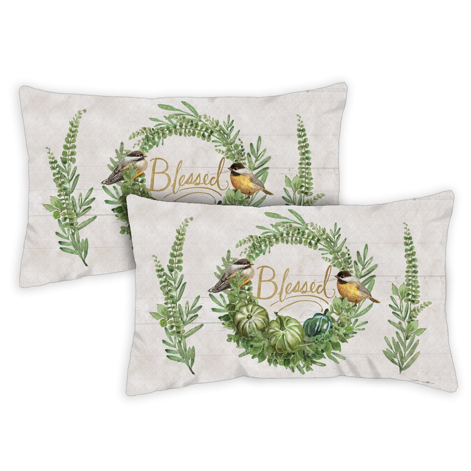 Toland Home Garden Set of 2 Blessed Birds Bird Pillow Covers 12x18 Inch ...