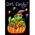 Toland Home Garden Toad Candy Frog Halloween Flag Double Sided 12x18 ...