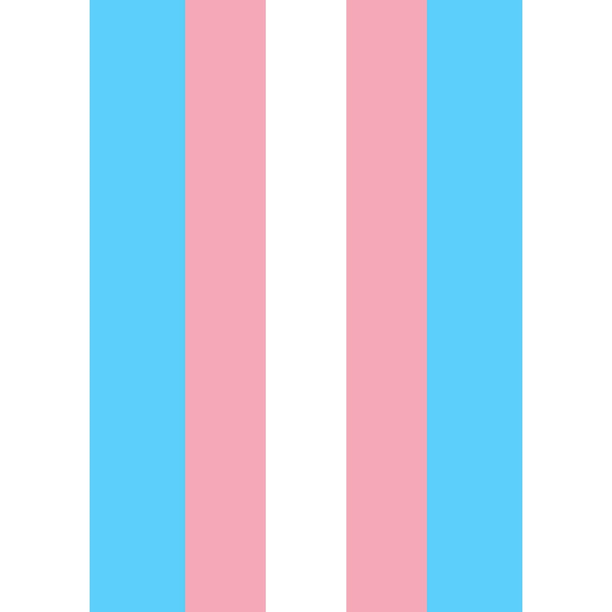 Transgender Pride Flag
