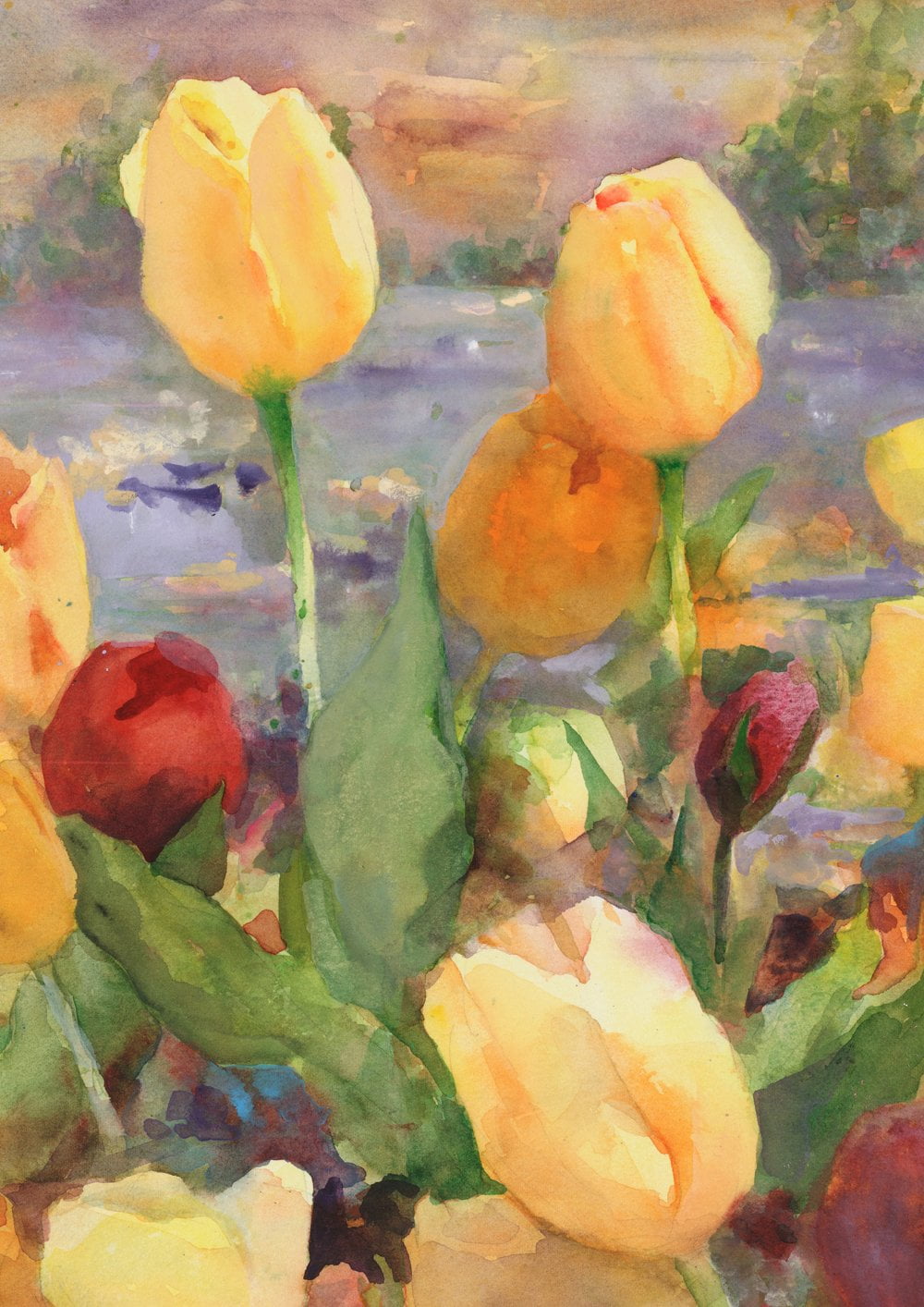 Toland Home Garden Tulip Gold Summer Spring Flag Double Sided 12x18 ...