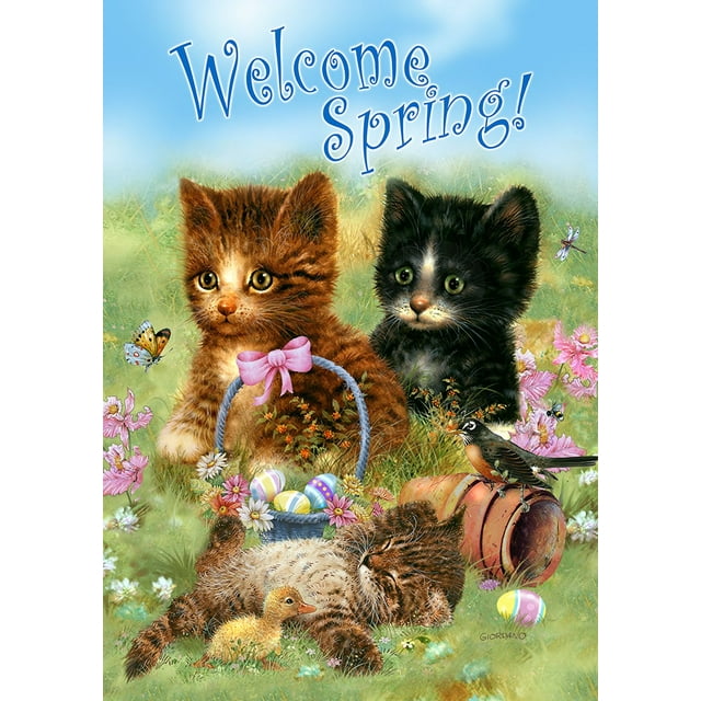 Toland Home Garden Welcome Spring Kittens Cat Spring Flag Double Sided ...