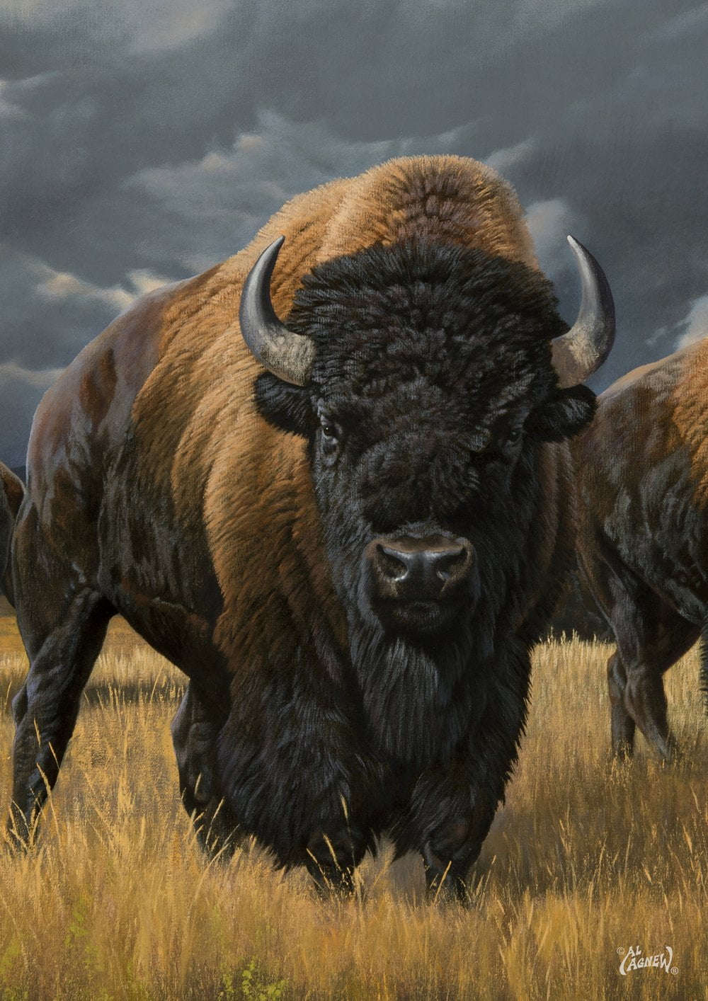Toland Home Garden Where the Buffalo Roam Buffalo Flag Double Sided ...
