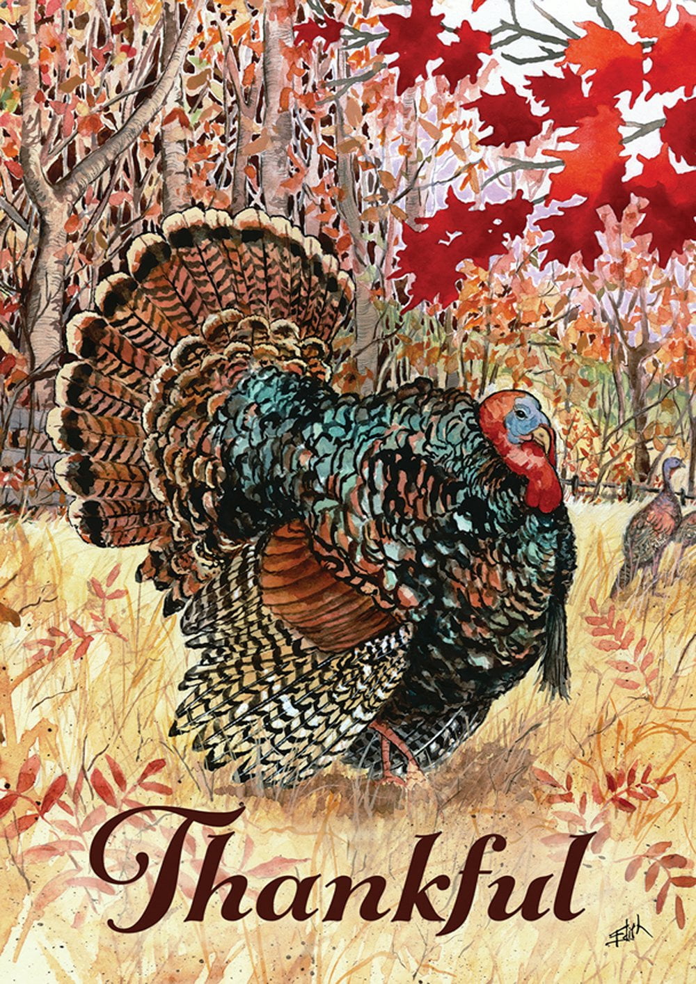 Toland Home Garden Wild Turkey Fall Thanksgiving Flag Double Sided ...