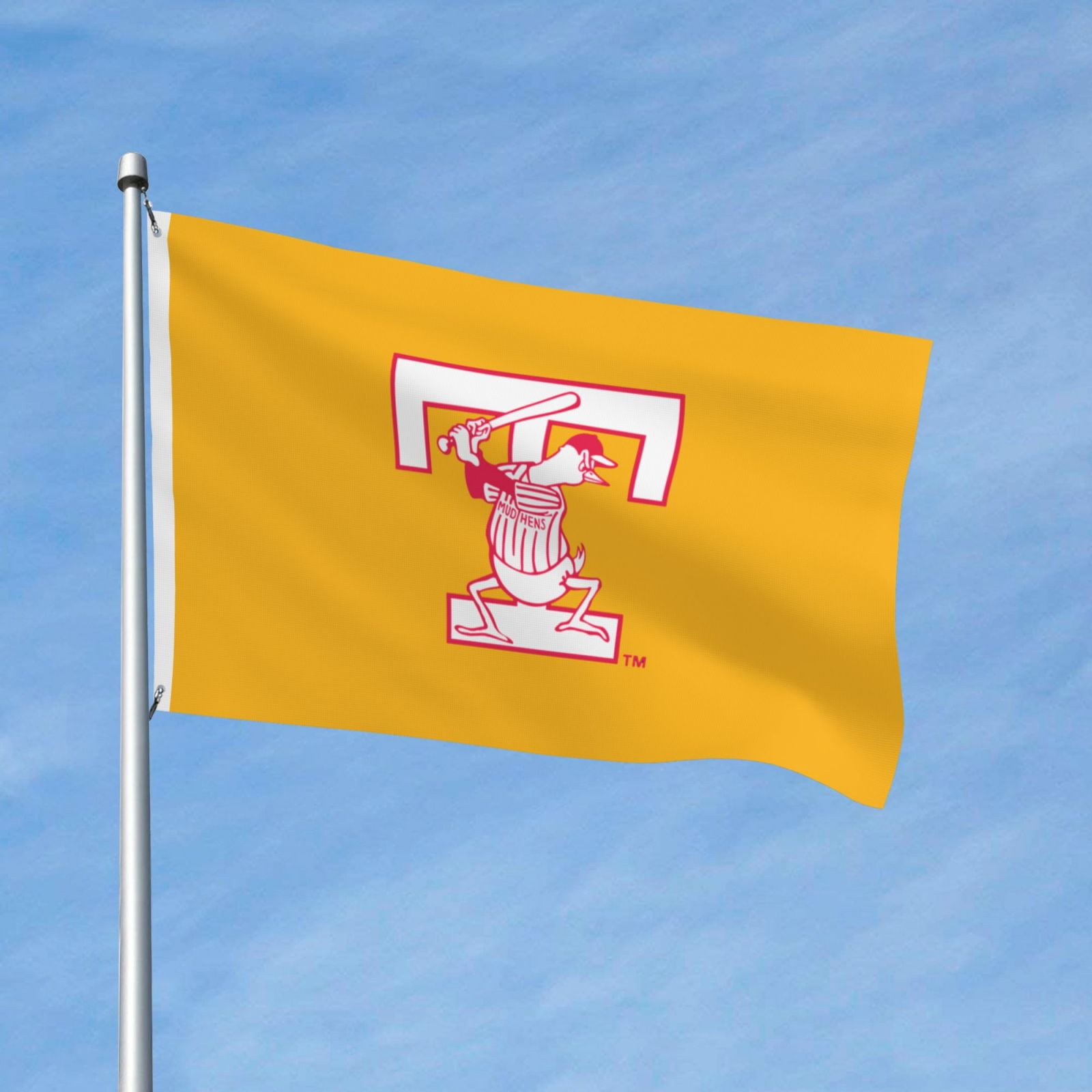 Toledo Mud Hens Banner 3x5 Ft Flag,Double Sided Printed Flag Indoor ...