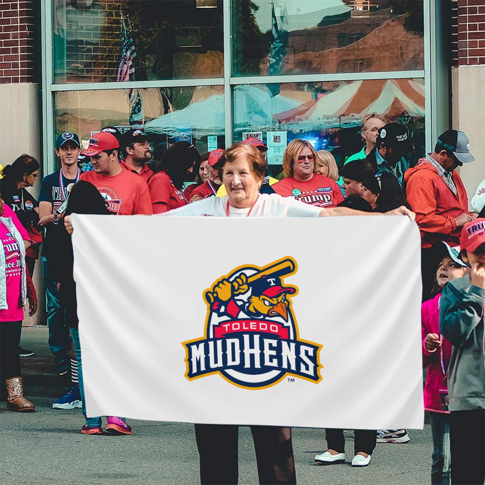Toledo Mud Hens Banner Breeze Flag Outdoor Flags Home Flag Garden Flag ...