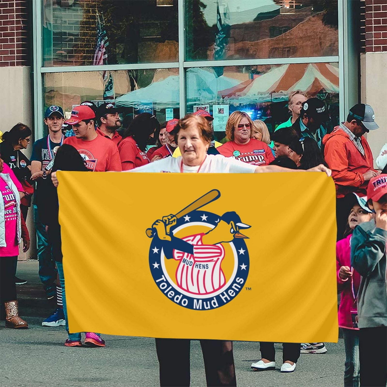 Toledo Mud Hens Banner Breeze Flag Outdoor Flags Home Flag Garden Flag ...
