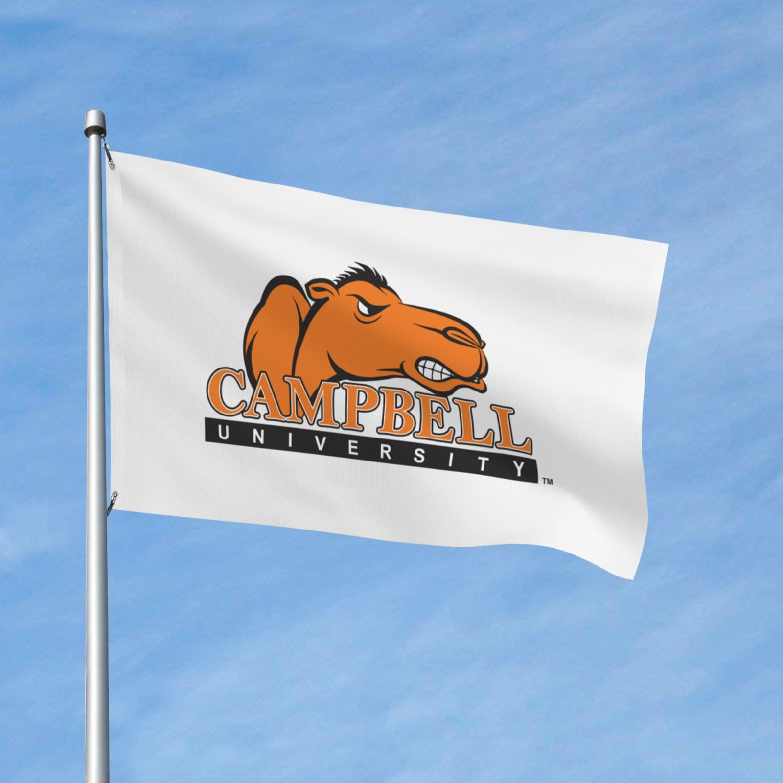 Toledo Mud Hens Flag 3x5 Ft Holiday Banner Garden Yard House Flags ...