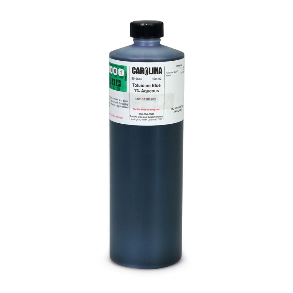 Toluidine Blue O, 1% Aqueous, Laboratory Grade, 500 Ml - Walmart.com