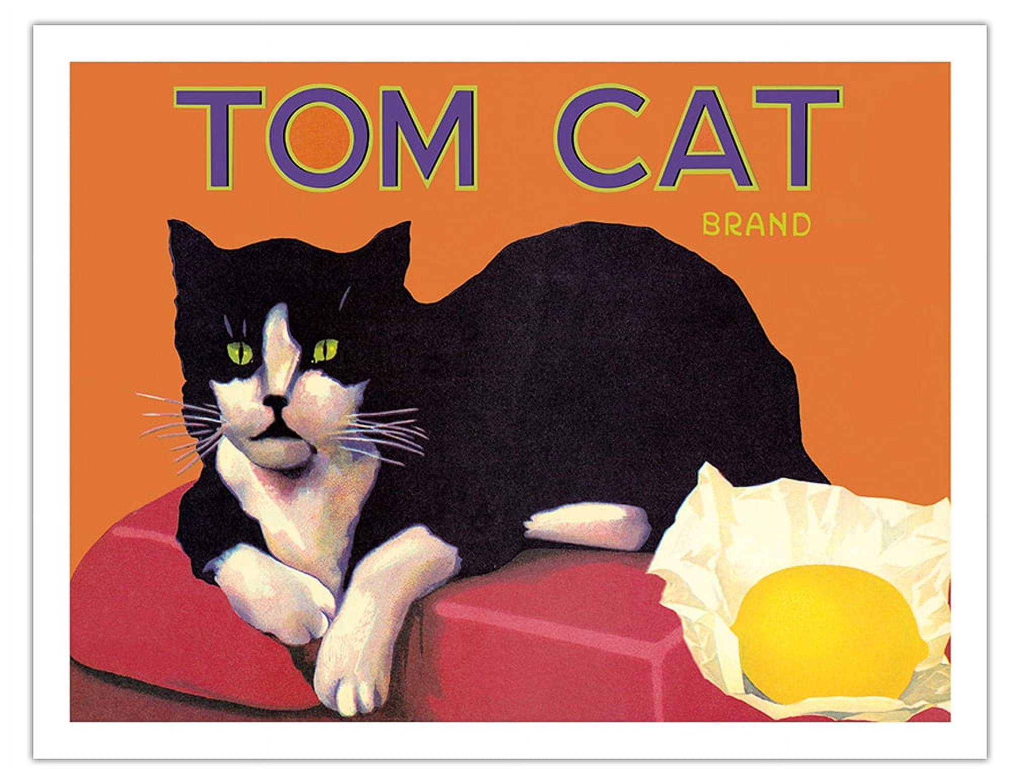 Tom Cat Brand Lemons - Orosi California - Vintage Fruit Crate Label c ...