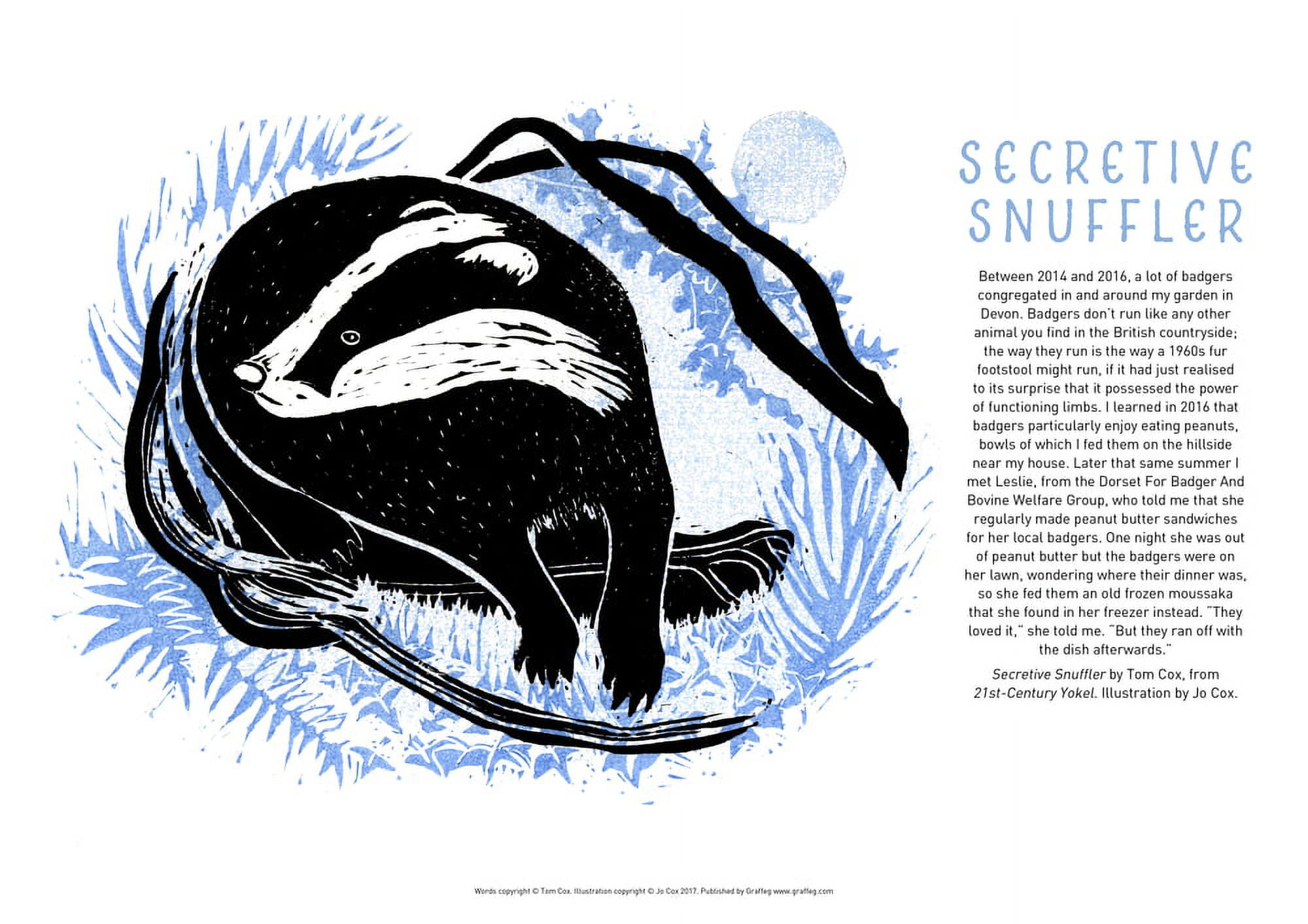 Tom Cox's Country Yokel Posters: Tom Cox's 21st Century Yokel Poster ...