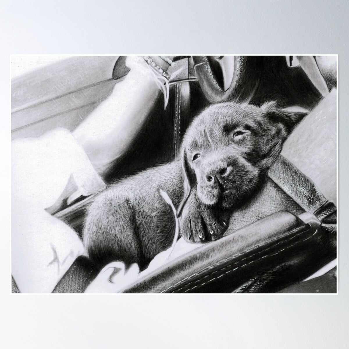 Tom Felton & Willow Pencil Drawing Poster Wall Art, Modern Wall Decor ...