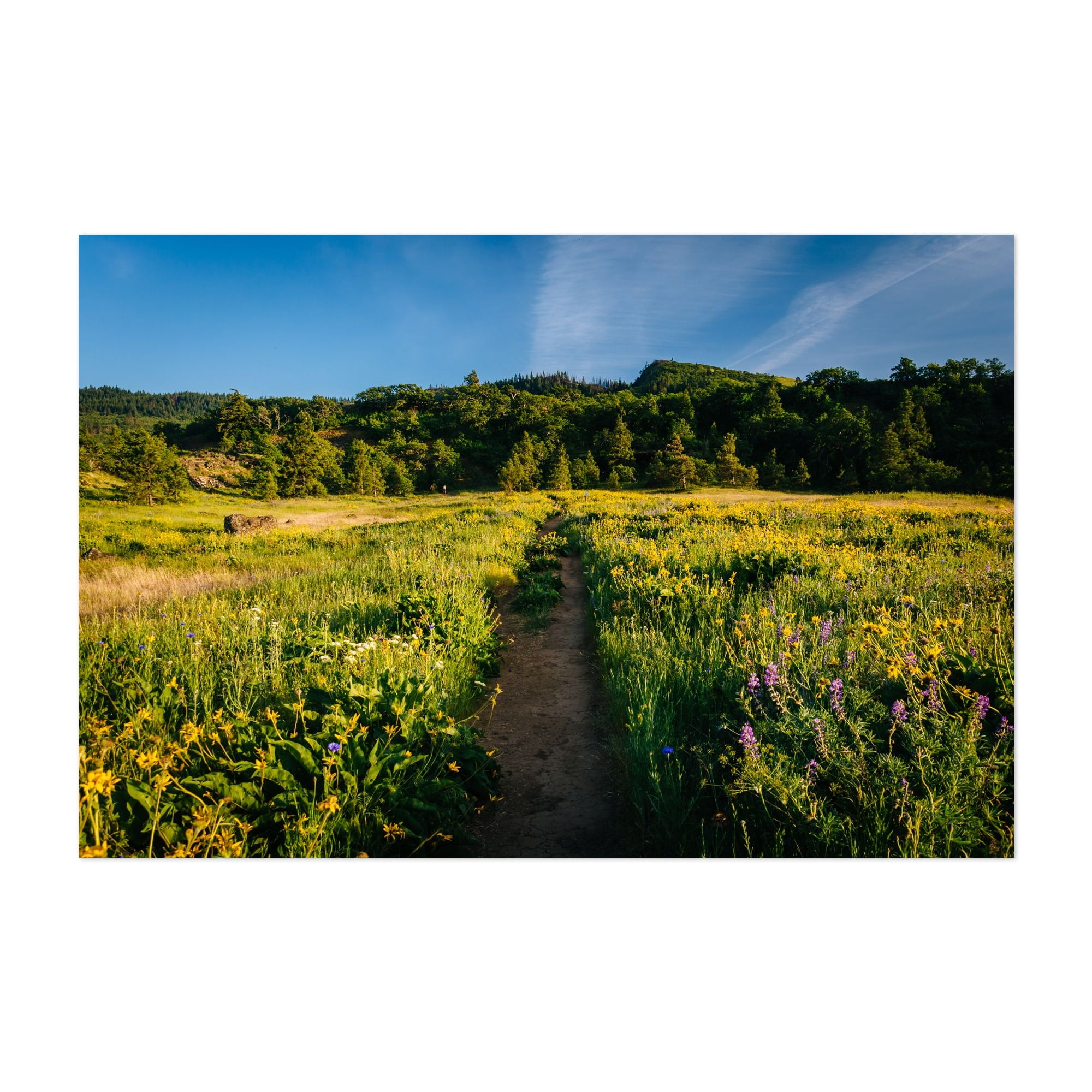 Tom McCall Nature Preserve - Oregon Photography Landscape Nature Scenic ...