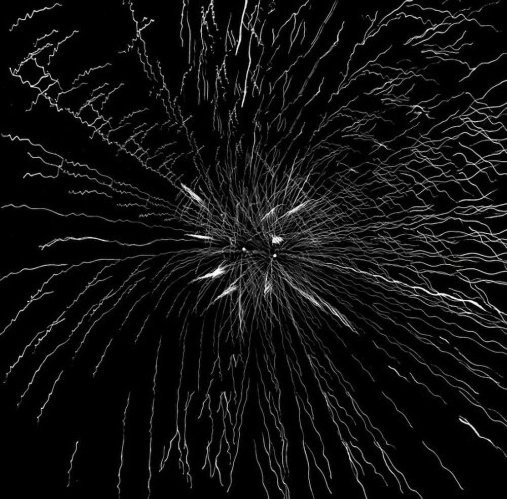 Tom Thiel - Album - Music & Performance - Vinyl - Walmart.com