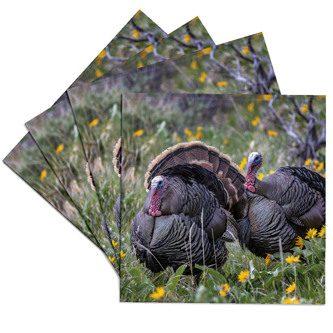 3drose, Tom Turkeys in Breeding Plumage in Great Basin Np, Nevada, Usa ...