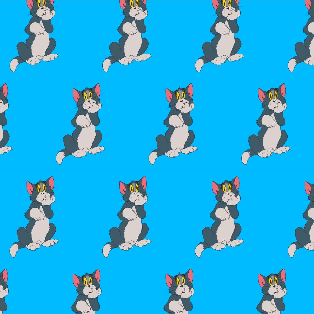 Tom and Jerry Tom Character Premium Roll Gift Wrap Wrapping Paper ...