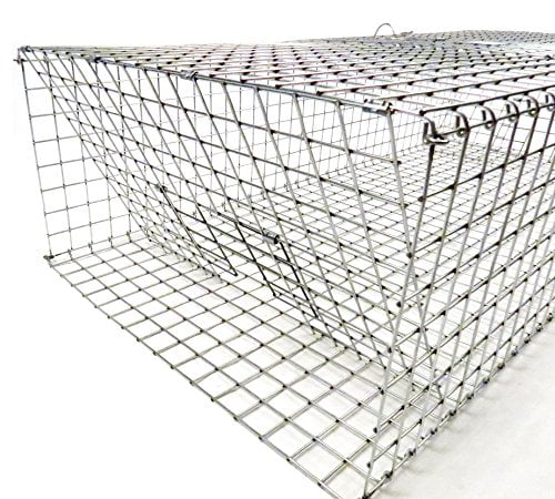 Tomahawk Model 502.5 - Collapsible Pigeon Trap with Swinging Panel ...