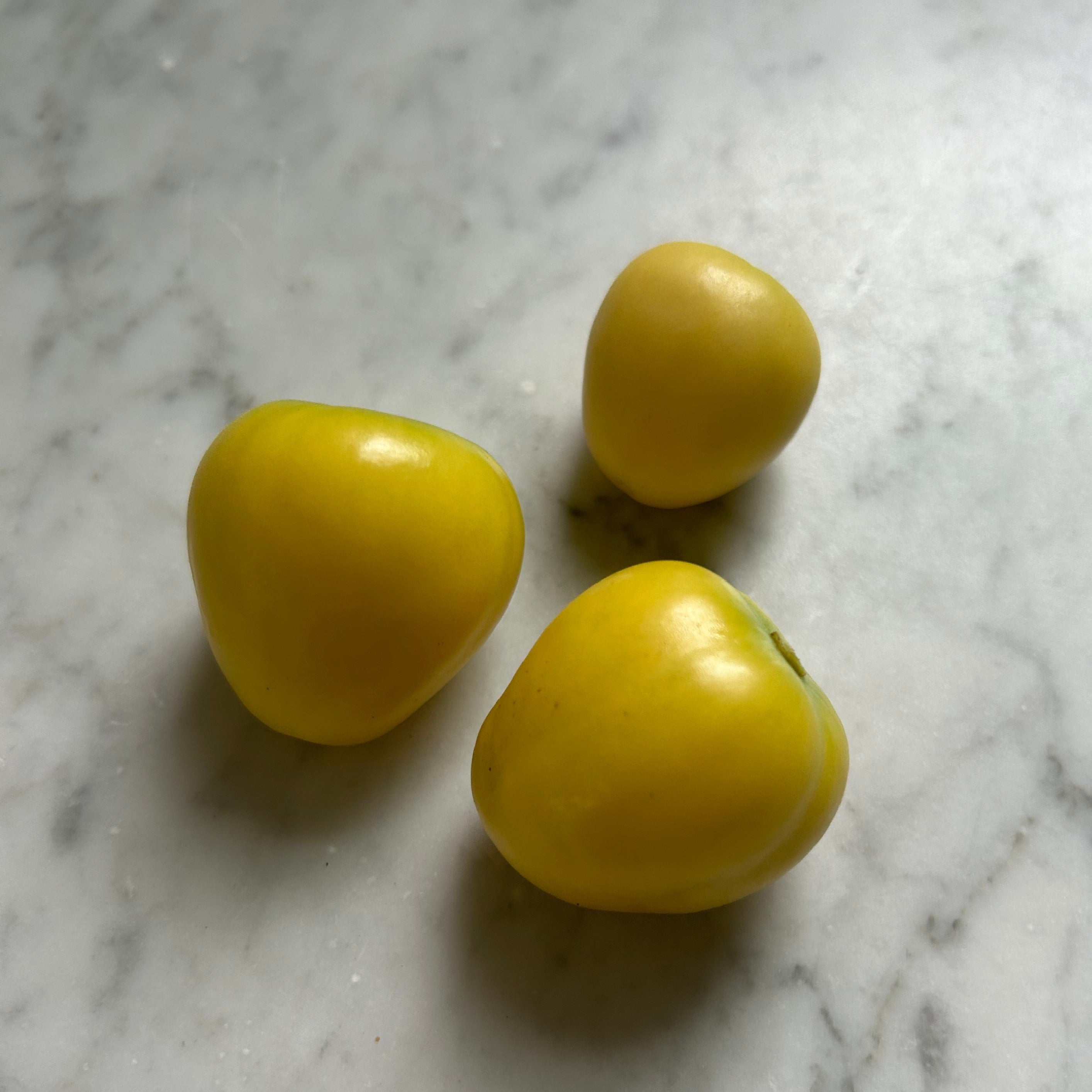 Tomatillo Seeds Chupon de Malinalco Seeds (25 Seeds) - Walmart.com