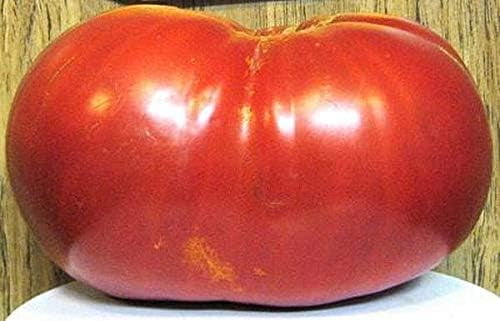Tomato Big Zac Seeds- Six Pounders - Walmart.com