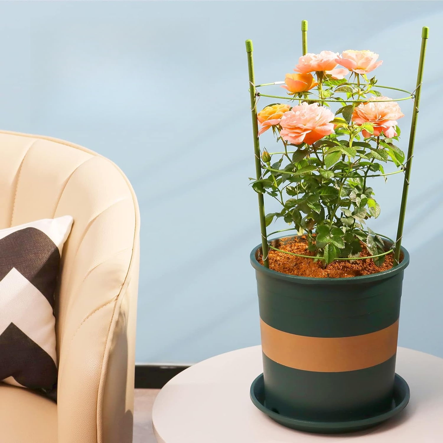 Tomato Cage, Plant Support Cage Rust Resistant Garden Ring Stake Plant ...