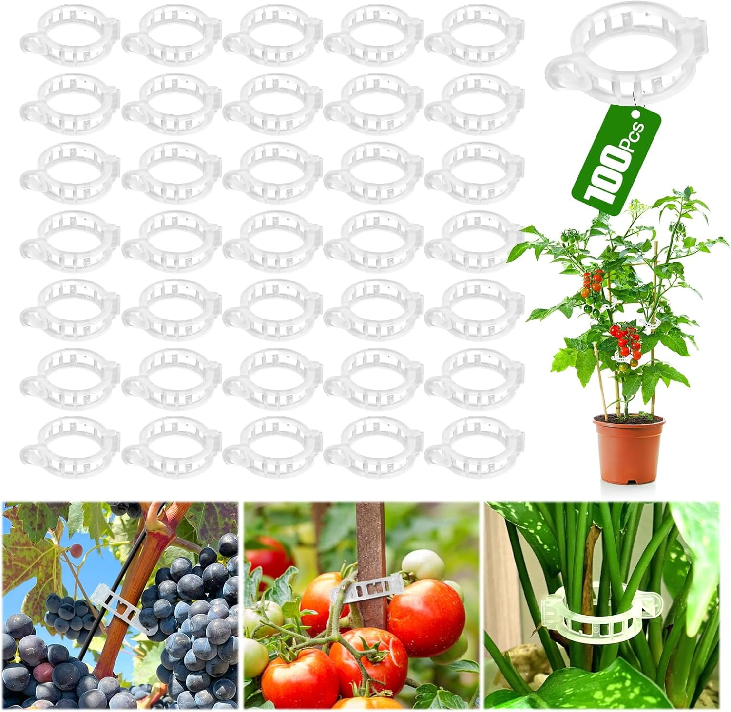 Tomato Clips for Climbing Plants 100 Pack - Clear Reusable Plastic ...