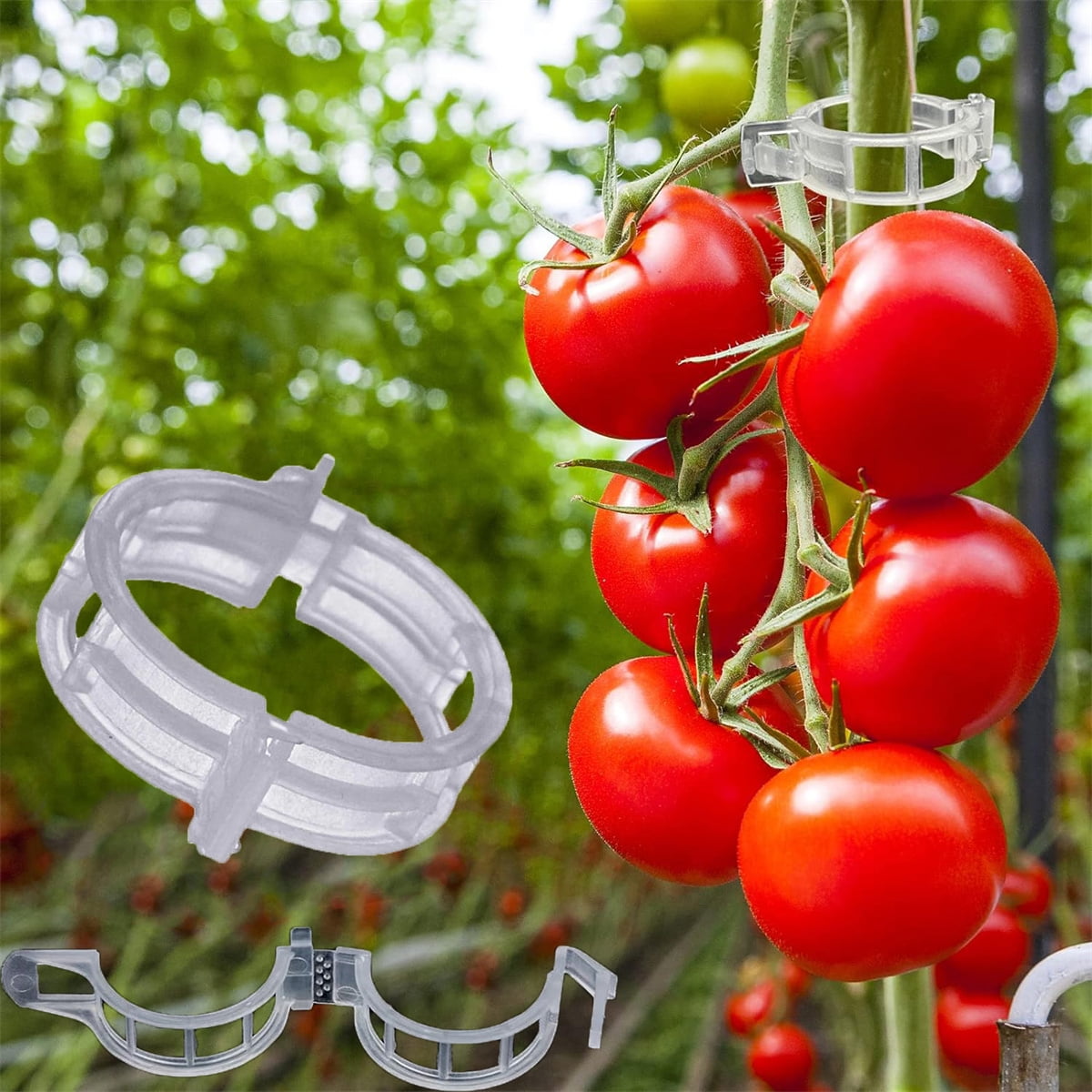 Tomato Clips , Garden Plant Support Clips, Trellis Clips for Vegetables ...