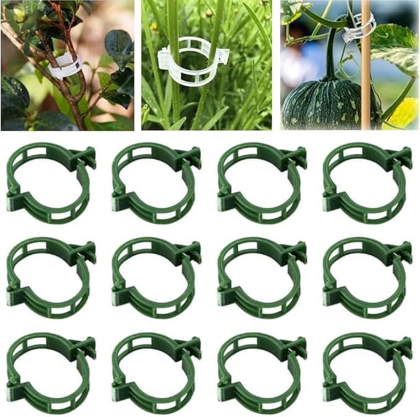 Tomato & Grape Vine Clips 100PCS - Reusable Plastic Garden Trellis ...