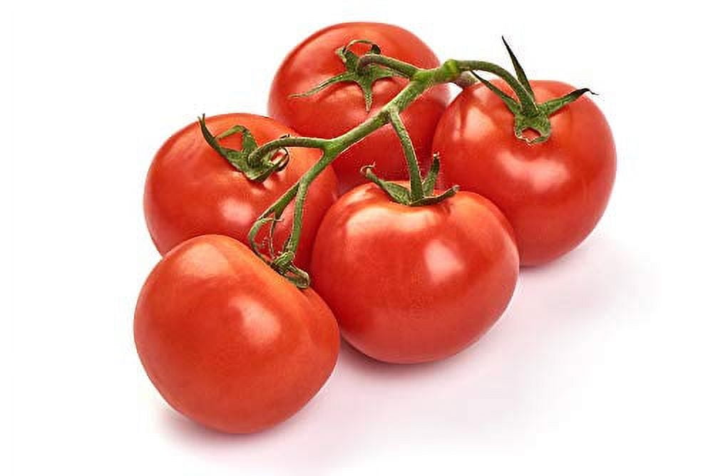 Tomato Homestead Great Heirloom Garden Vegetable by Seed Kingdom 1 Oz ...