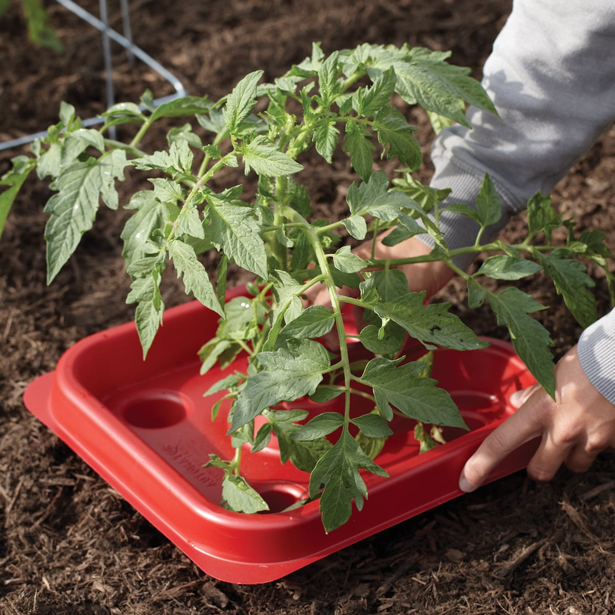 Tomato & Pepper Automator Trays - Walmart.com