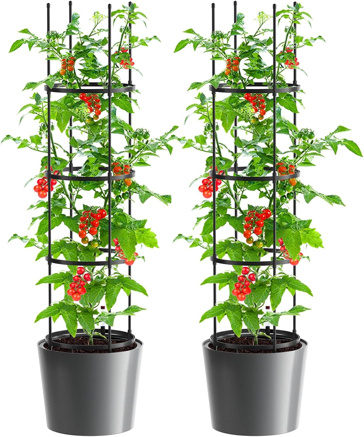 Tomato Planter Box with Trellis, Self Watering Rolling Raised Garden ...