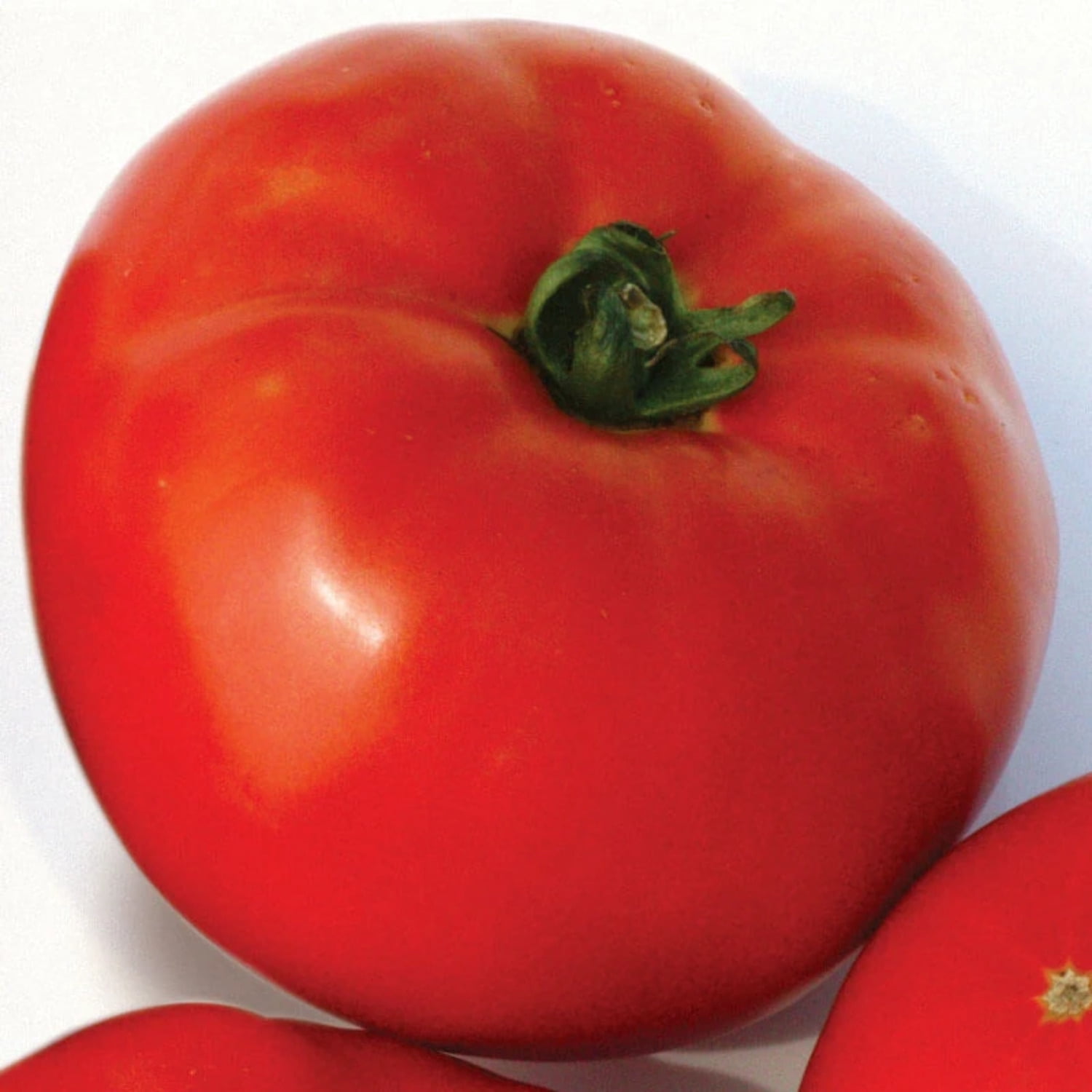 Tomato Red Defender F1 Seed, Treated, 500 Seeds - Walmart.com
