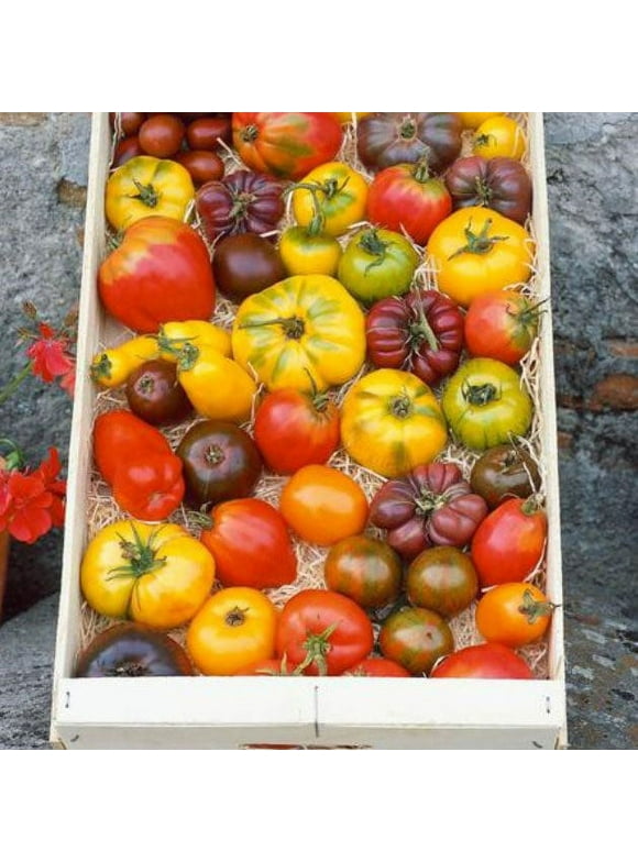 Tomato Seeds in Seed Gardening - Walmart.com