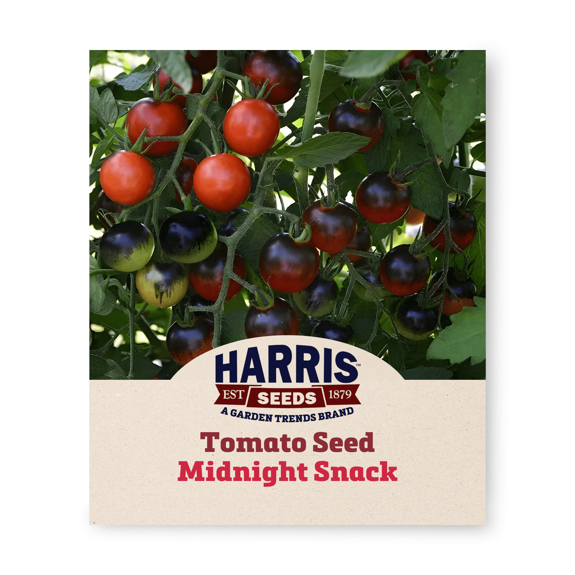 Harris Seeds Tomato Seeds - Midnight Snack Non-GMO Indeterminate - 500 ...