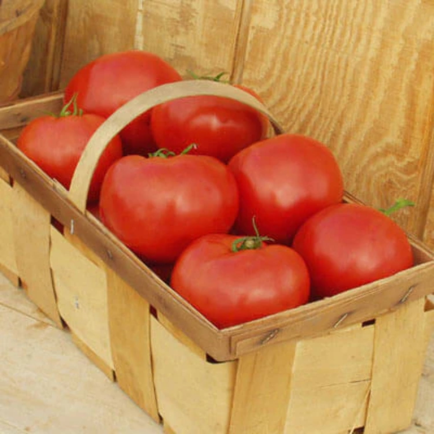Tomato Red Bounty F1 - Walmart Business Supplies