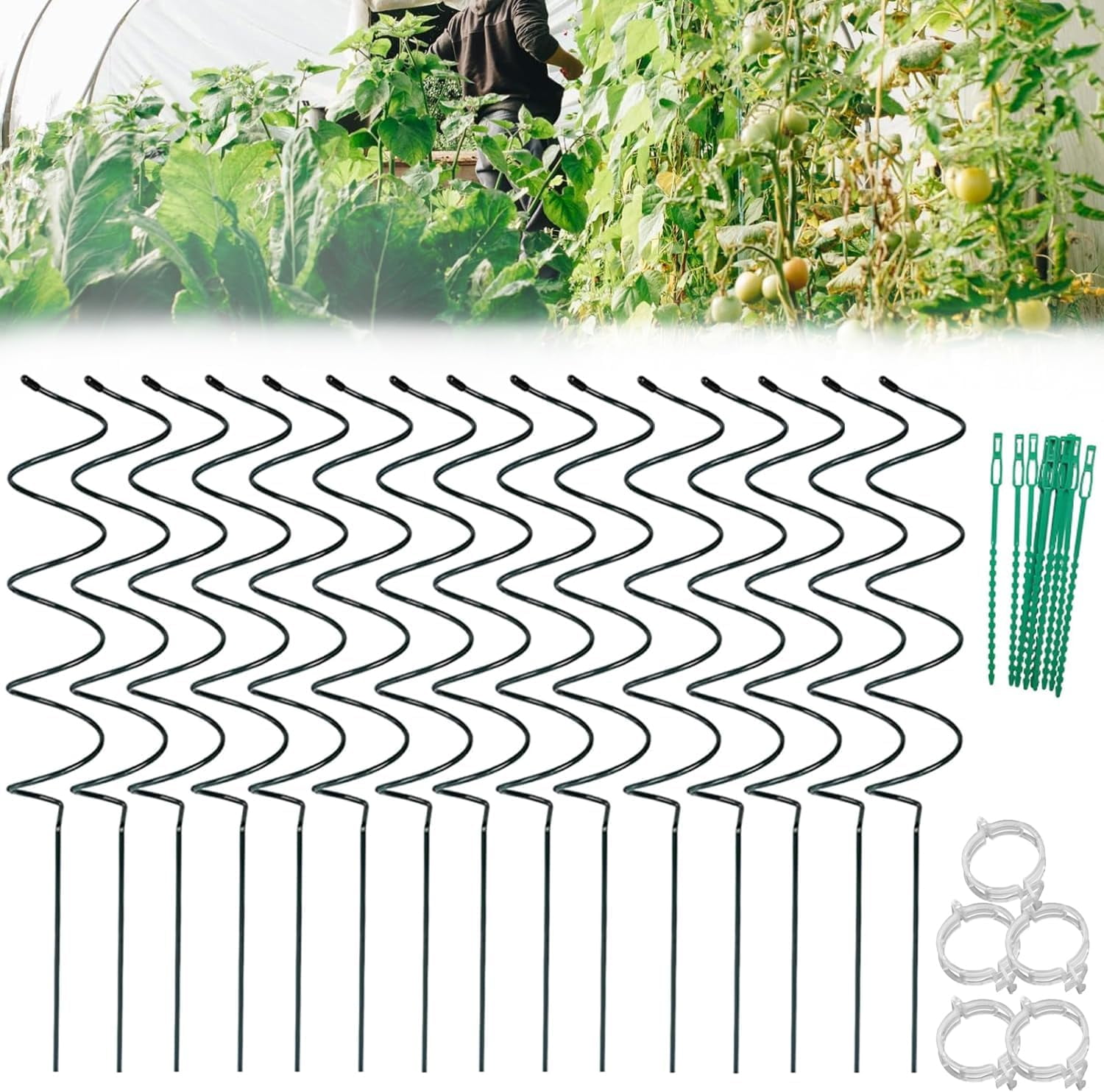Tomato Twist Stake, 17 Inch Tomato Stakes and Supports, Spiral Tomato ...