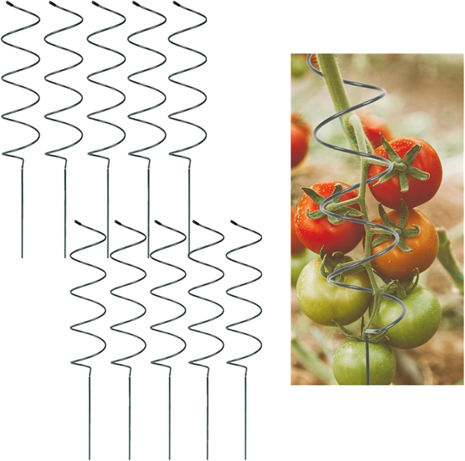 Tomato Twist Stake, Spiral Tomato Stakes, Supports Spiral Tomato Cages ...