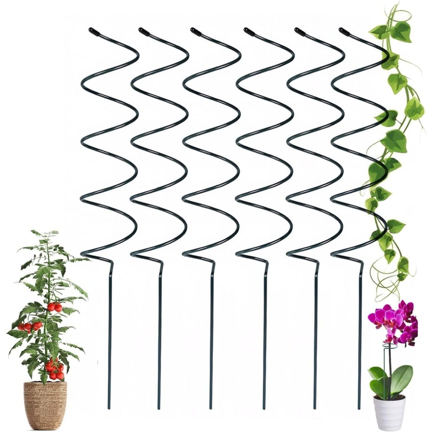 Tomato Twist Stake, Spiral Tomato Stakes, Tomatos Twist Stakes, Plant ...