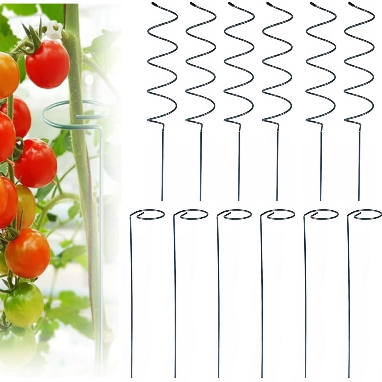Tomato Twist Stake, Tomato Twist, Spiral Tomato Stakes, Reusable ...