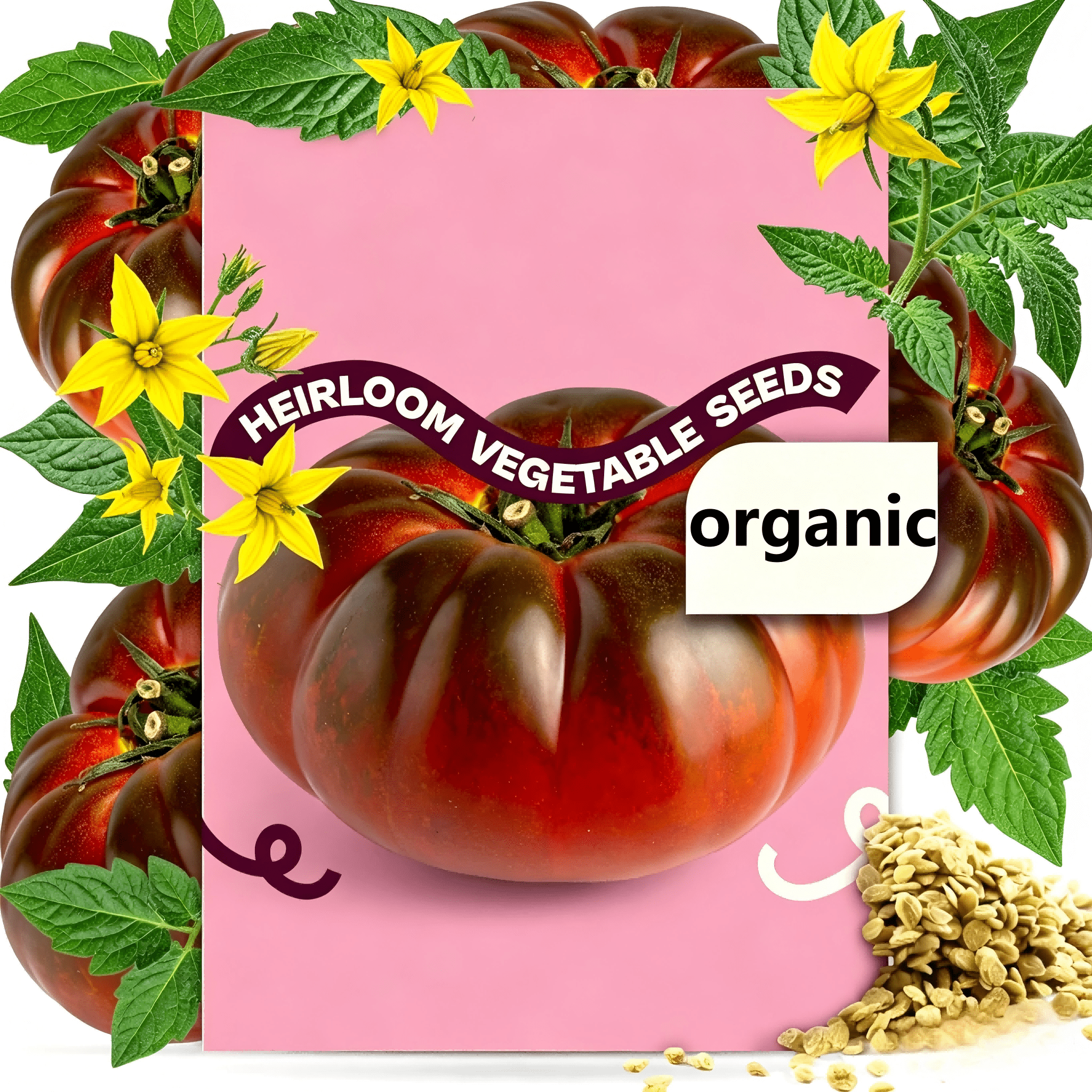 Tomatoes for Planting-(Non-Artificial)-Easy to Grow & Quick Sprouting ...