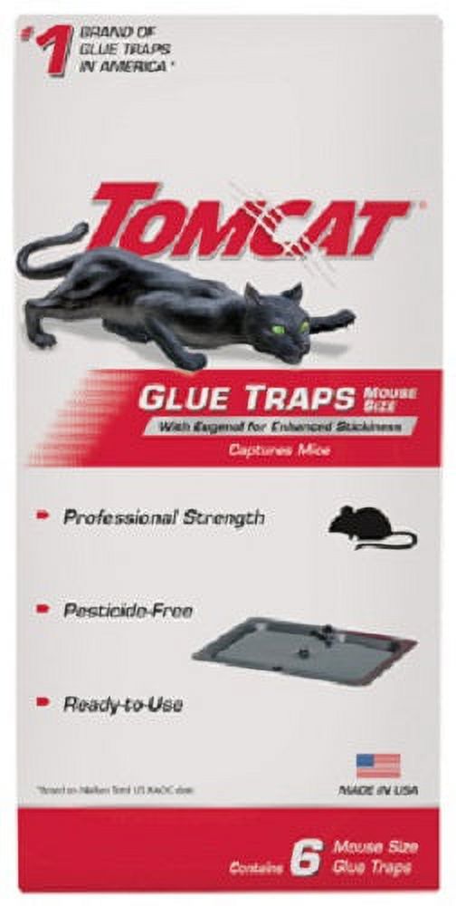 Tomcat 0362610 6-Pack Professional Strength Ready to Use Mouse Glue ...