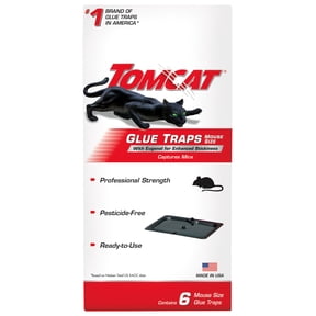 Tomcat Mouse Traps in Mouse - Walmart.com